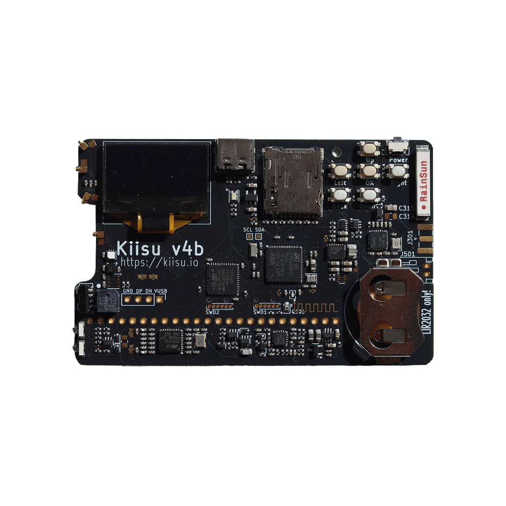Kiisu V4B Development Board – RainWalker store