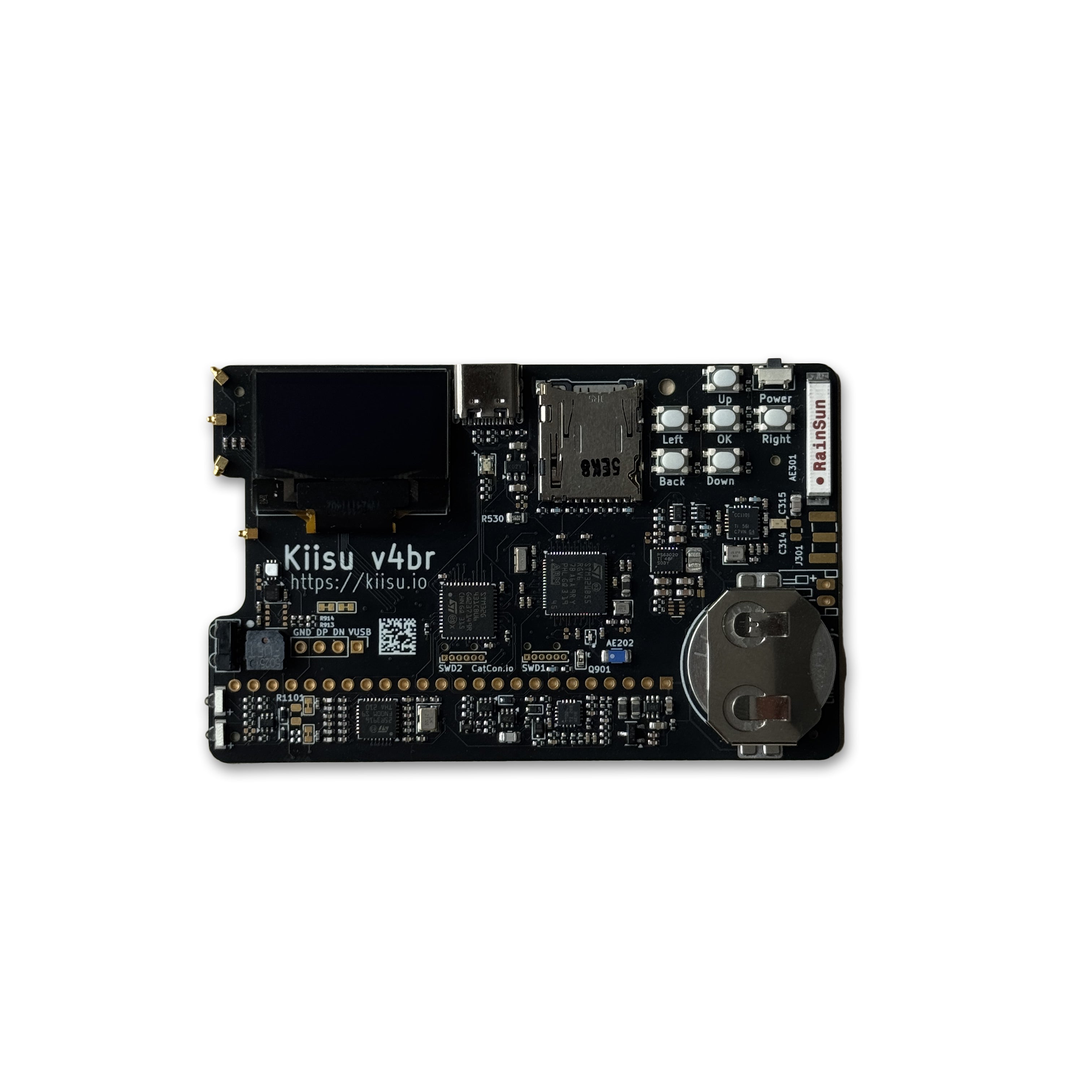 Kiisu V4B Development Board – RainWalker store