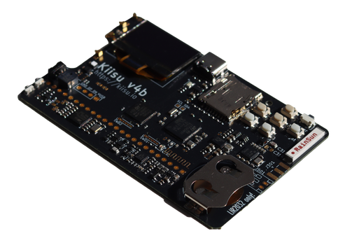 Kiisu V4B Development Board – RainWalker store