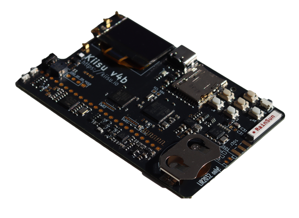Kiisu V4B Development Board – RainWalker store